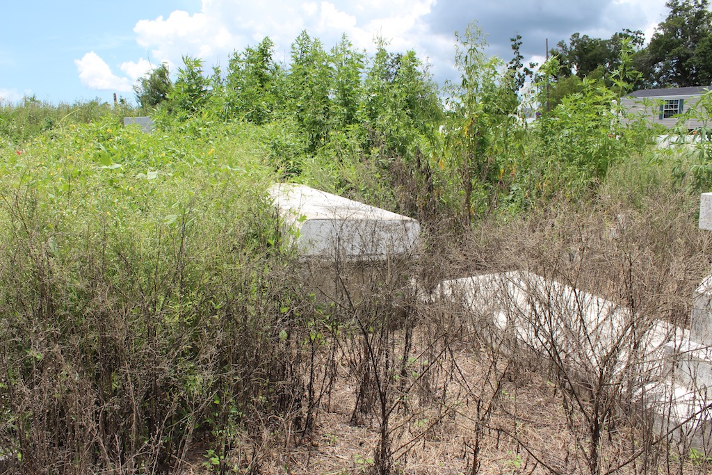 Provost Cemetery – Vanishing Points